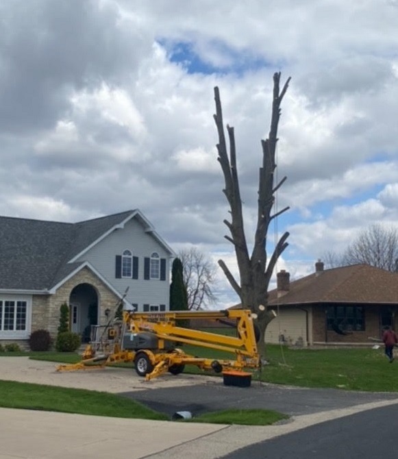 Appleton Tree Service, Serving Grand Chute and Greater Fox Valley